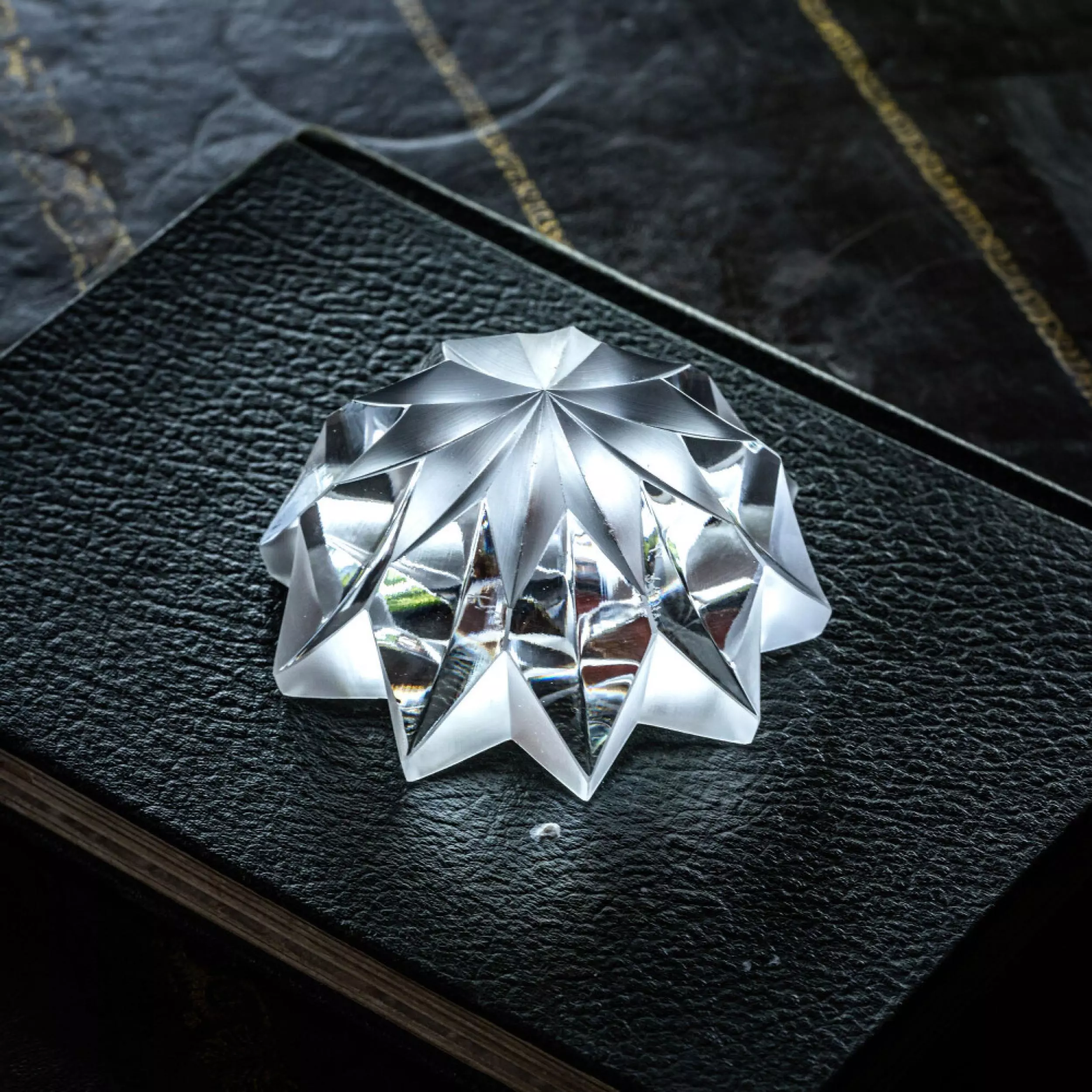 Opaca Cut Crystal Paperweight | Leone Di Fiume